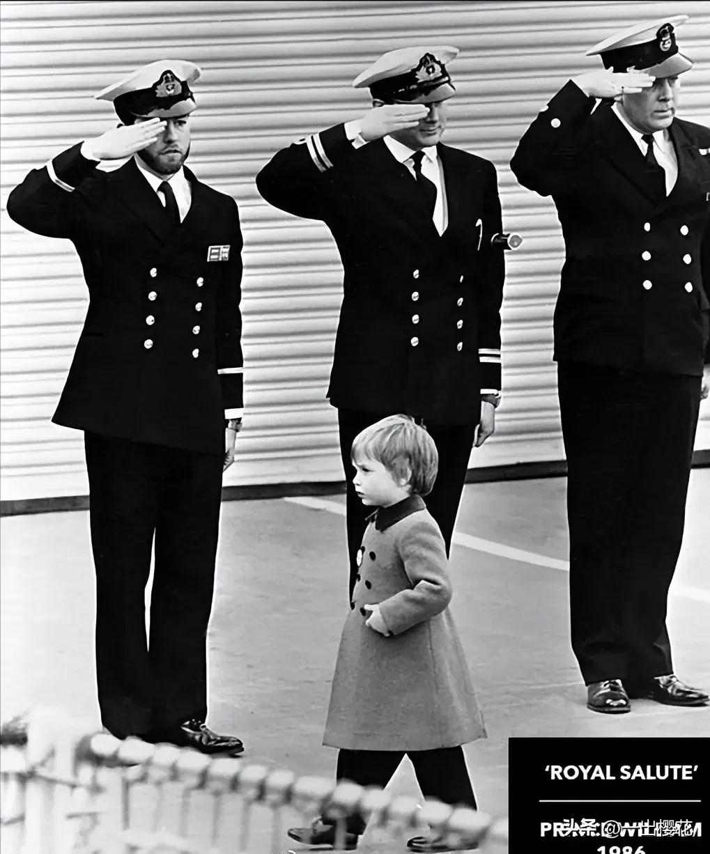 Little William is too cute - iMedia