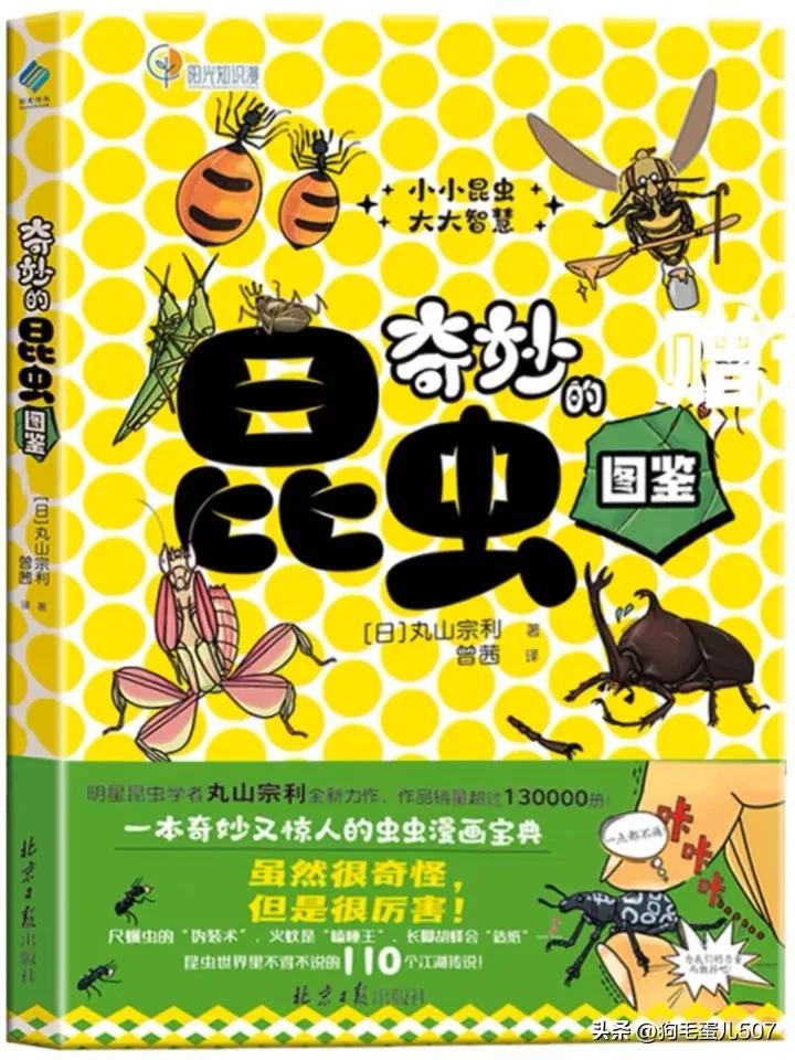 About insects, little secrets you don't know - iNEWS