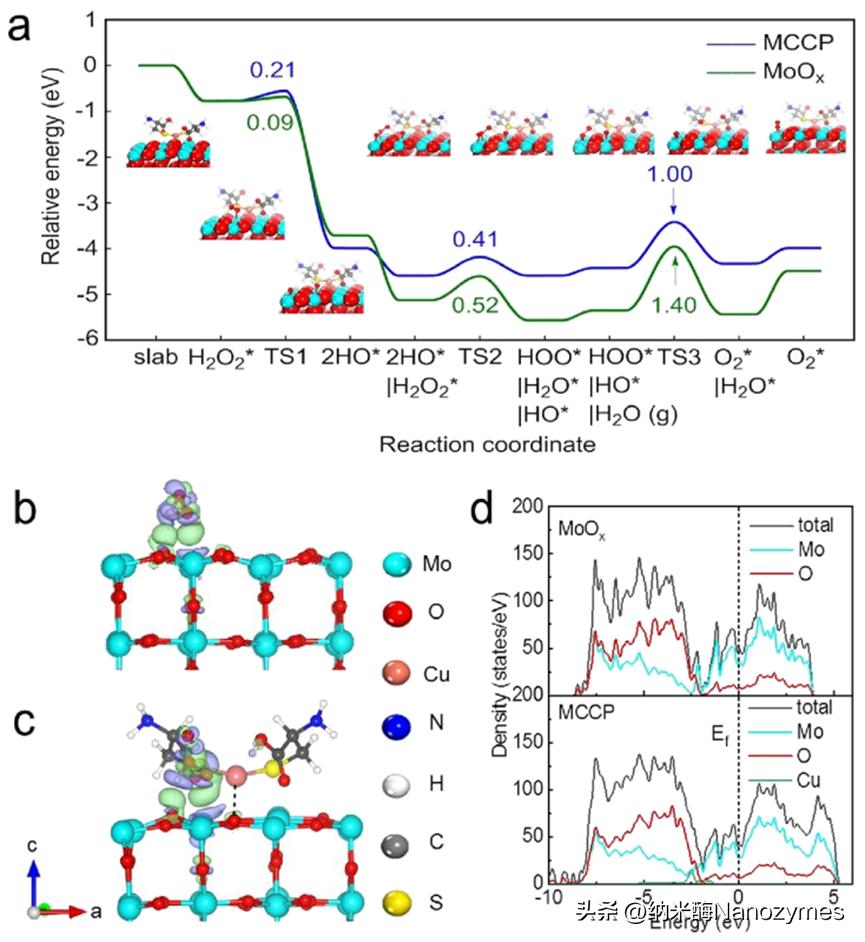 Coordination-driven self-assembly of Cu single-atom nanozymes - iNEWS