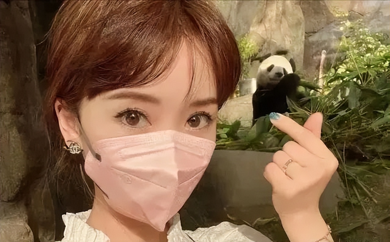 Li Nian's recent photos look like Lin Chiling and were accused of ...