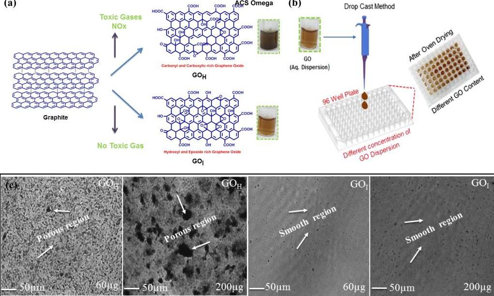Inhibition of biofilm formed by bacteria by means of graphene oxide ...