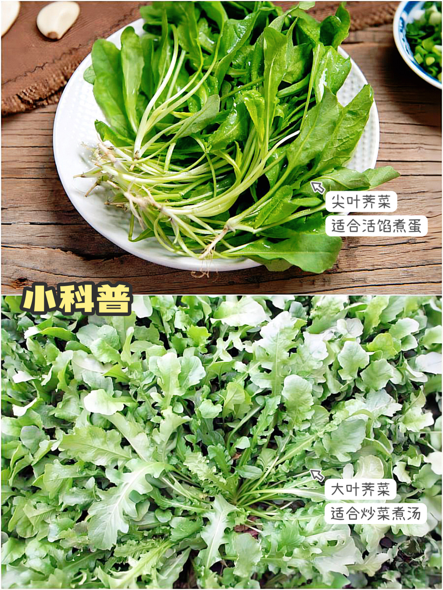 How to eat the first wild vegetable in spring? Stir-fried three ...