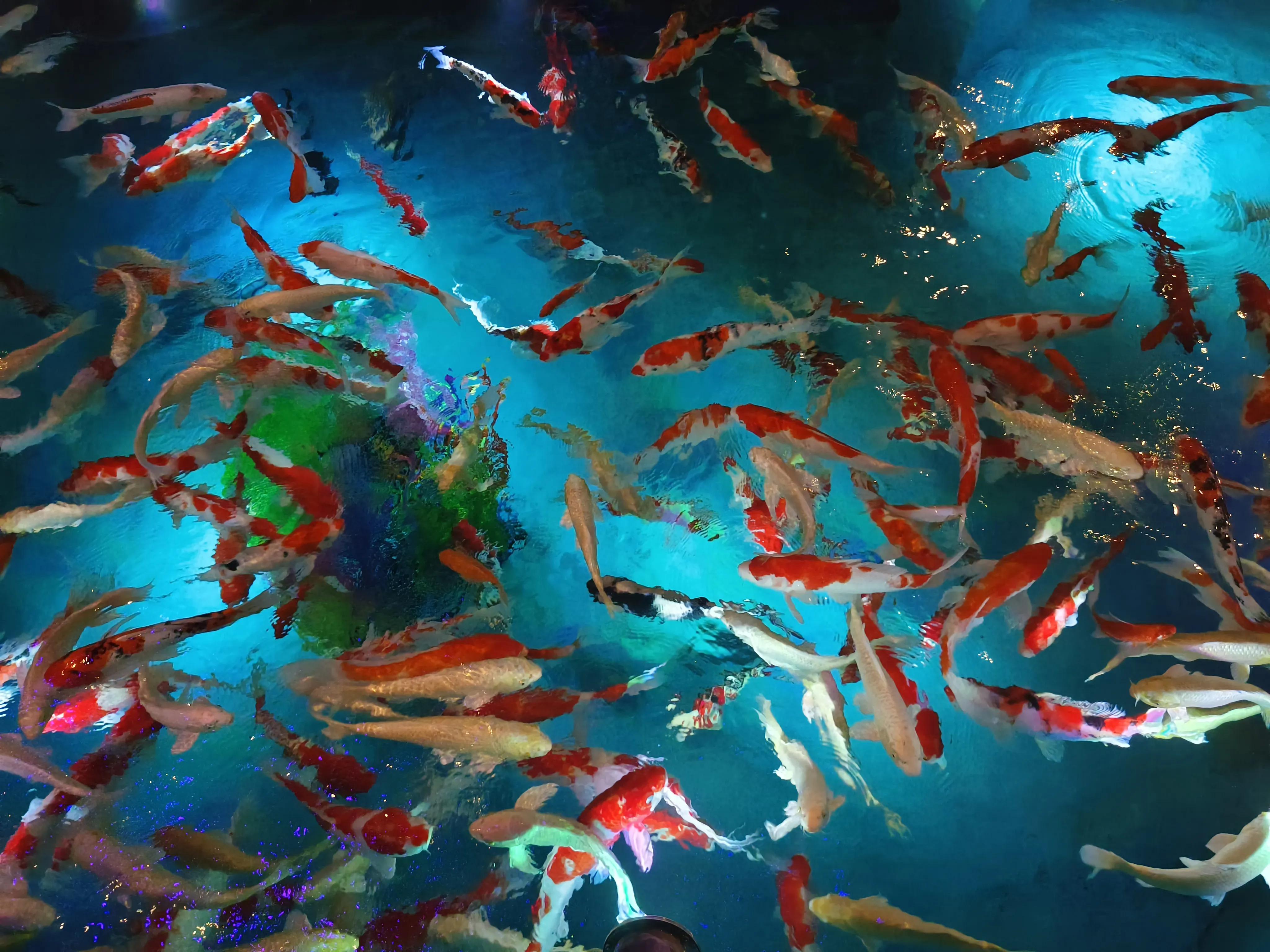 People need clothes, goods need decoration - iNEWS