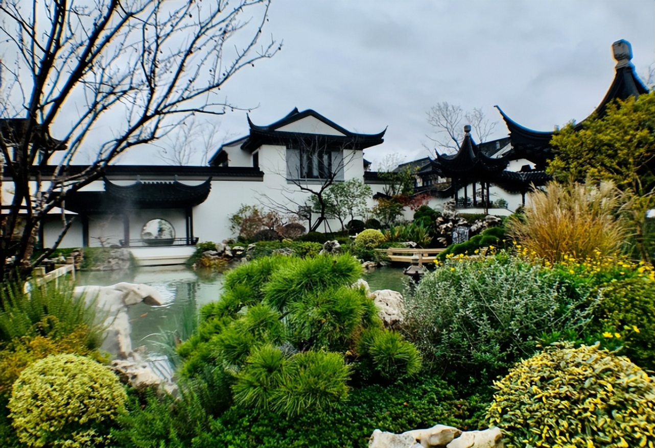 There is a small yard at home, please plant these four kinds of ...