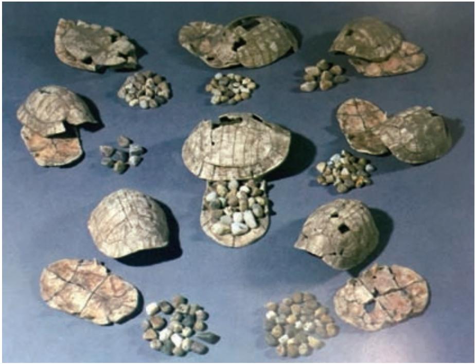 Jiang Shiwei: The Origin, Spread and Evolution of Tortoise Spirit ...