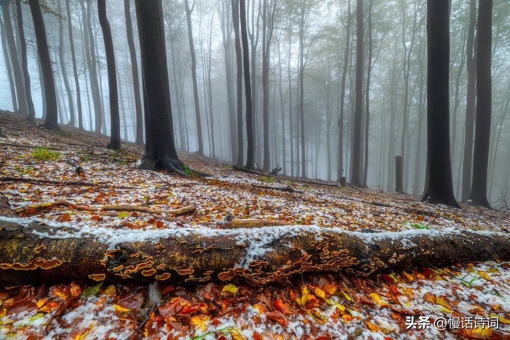 Su Shi's bold and bold poem, the perfect fusion of narrative and ...