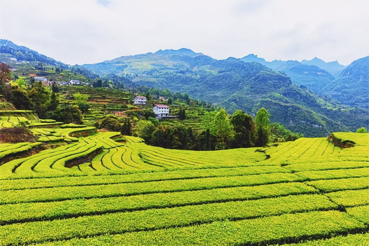 Traveling to Enshi in Western Hubei is not just about traveling in the ...