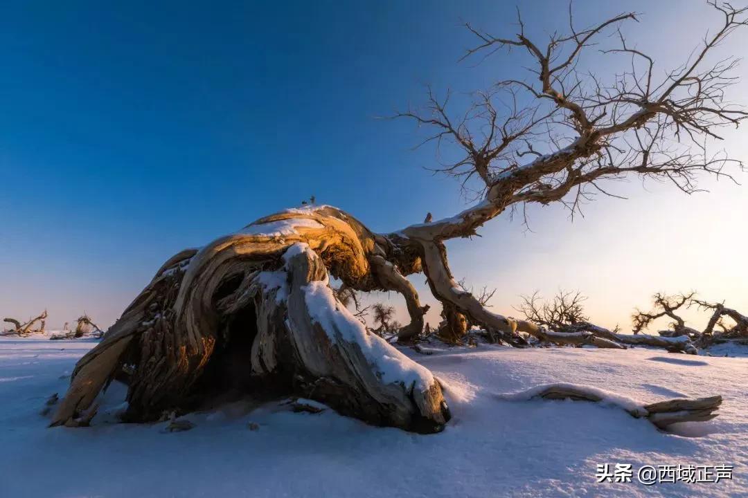 The beauty of winter in Xinjiang - iNEWS