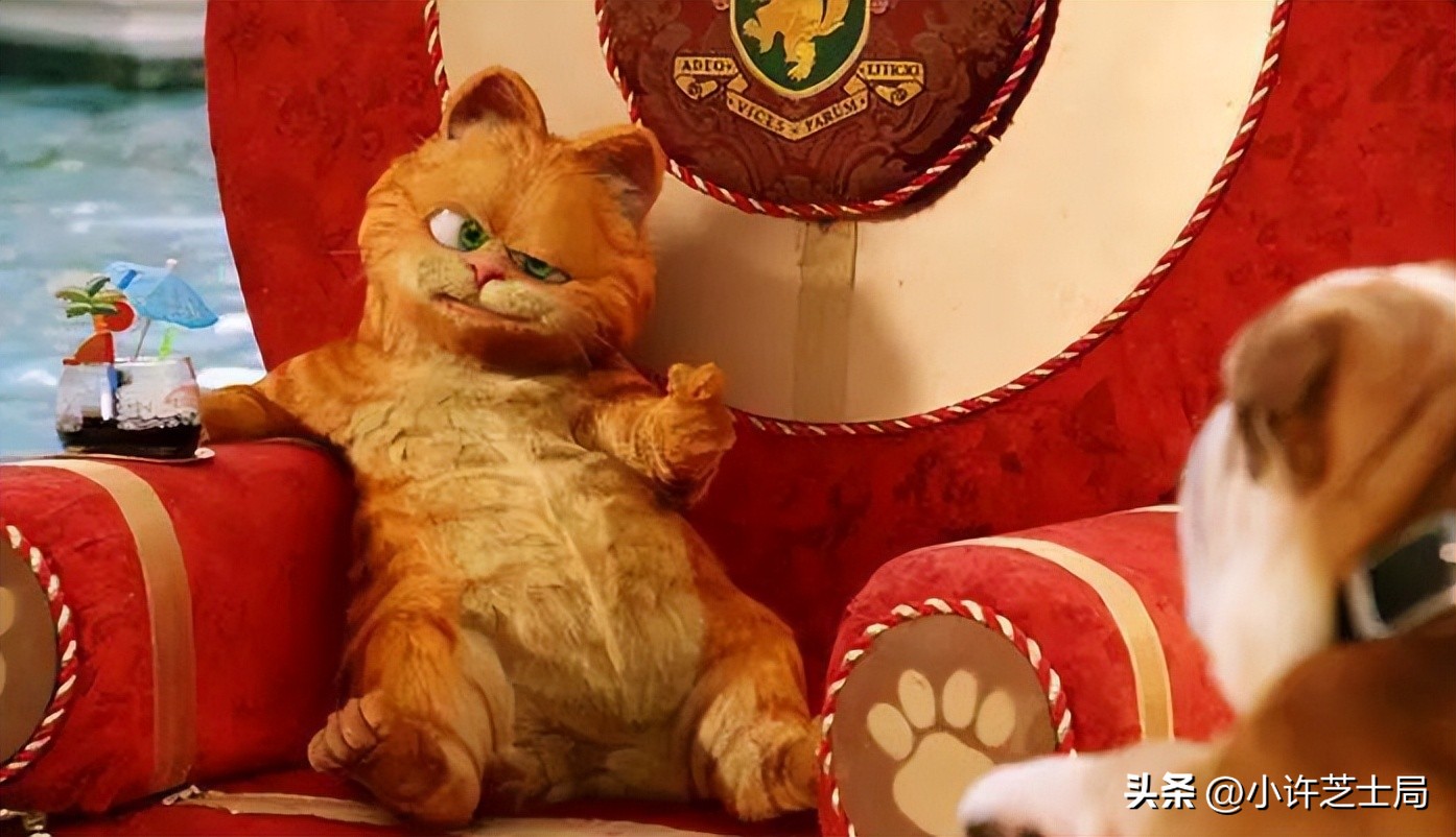 "Garfield" series of funny and funny everyday stories - iMedia