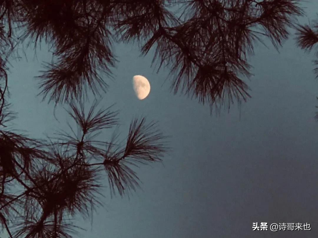 Meng Haoran in Poetry of the Tang Dynasty (2) - iNEWS