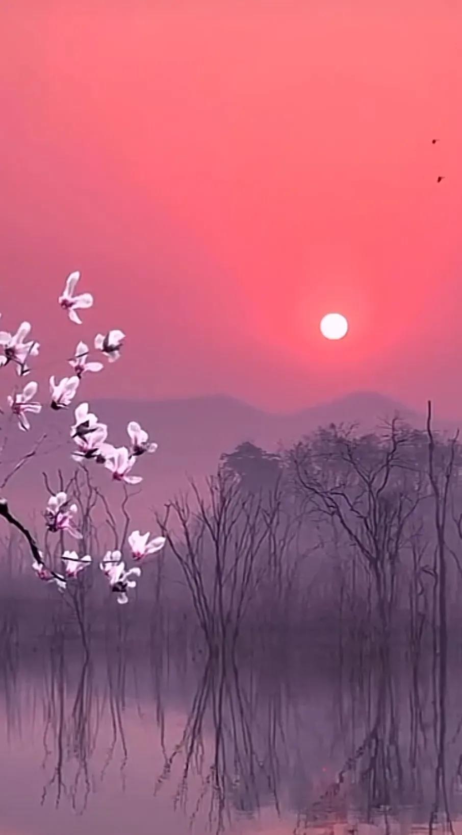 Life (Archaic Poem) - iNEWS