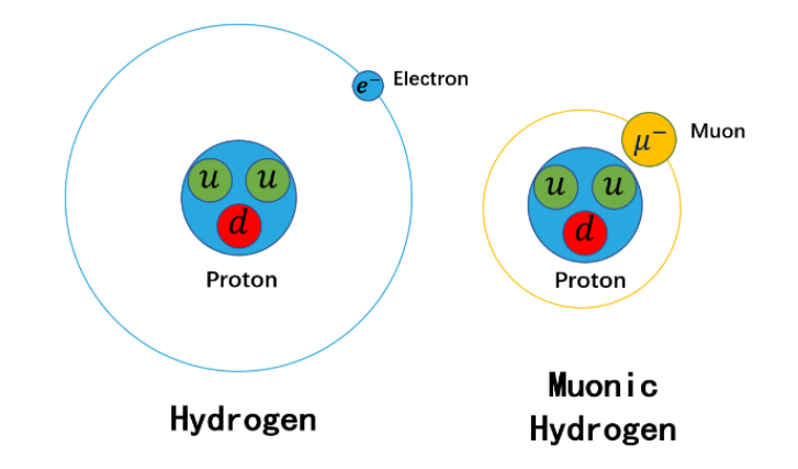 Can nuclear fusion in the Ark reactor come into reality? - iNEWS