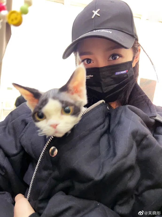 Xiao Zhan New Year's Eve?Cai Xukun resources?Zhao Lusi and Song Zuer ...