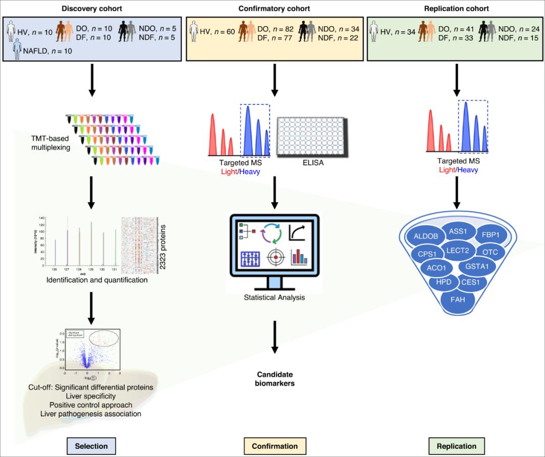 Blood proteomics in a large clinical cohort reveals drug-induced liver ...