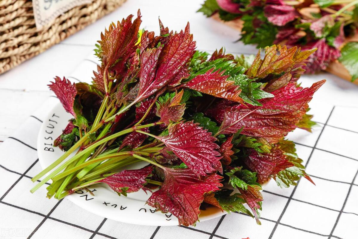 10 ways to eat perilla, the fourth is a must, without it in summer, I ...