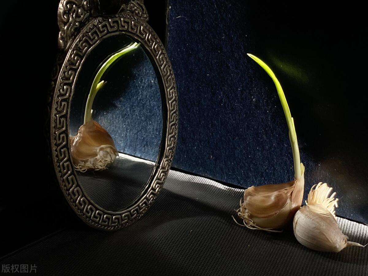 History and Culture of Bronze Mirrors - iMedia