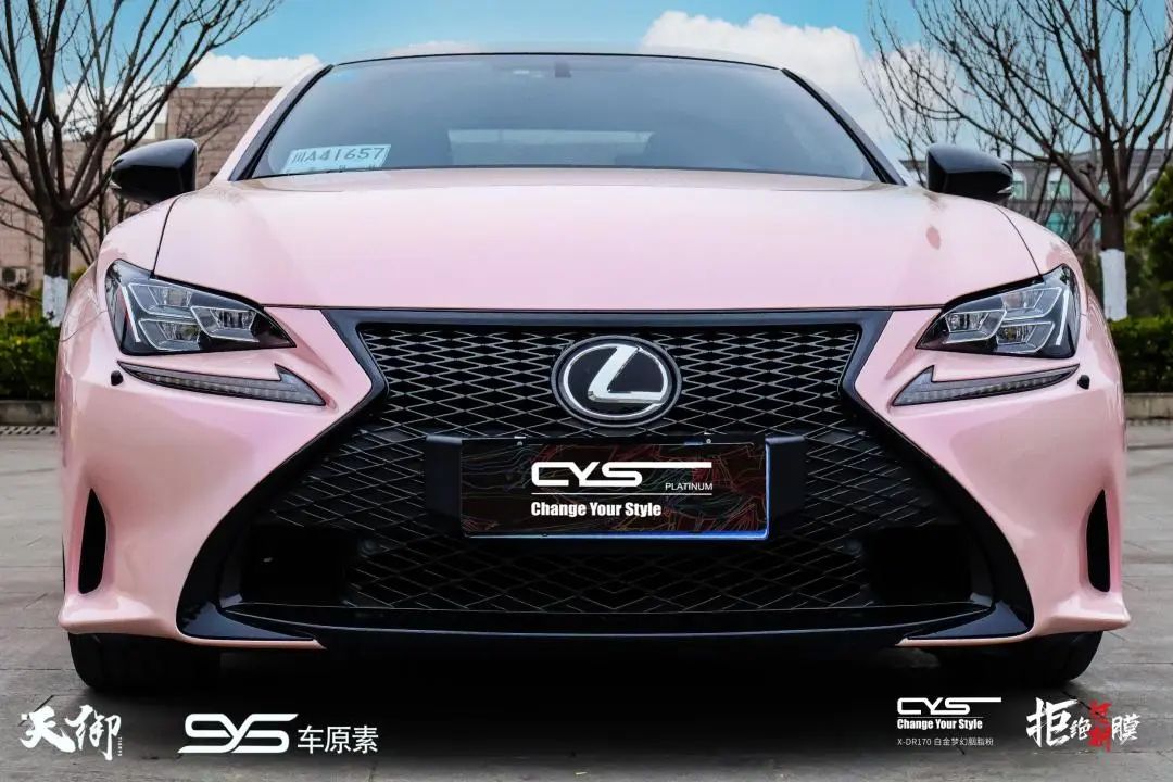 CYS: Heartbeat-Platinum Dream Rouge Powder X-DR170 - iNEWS