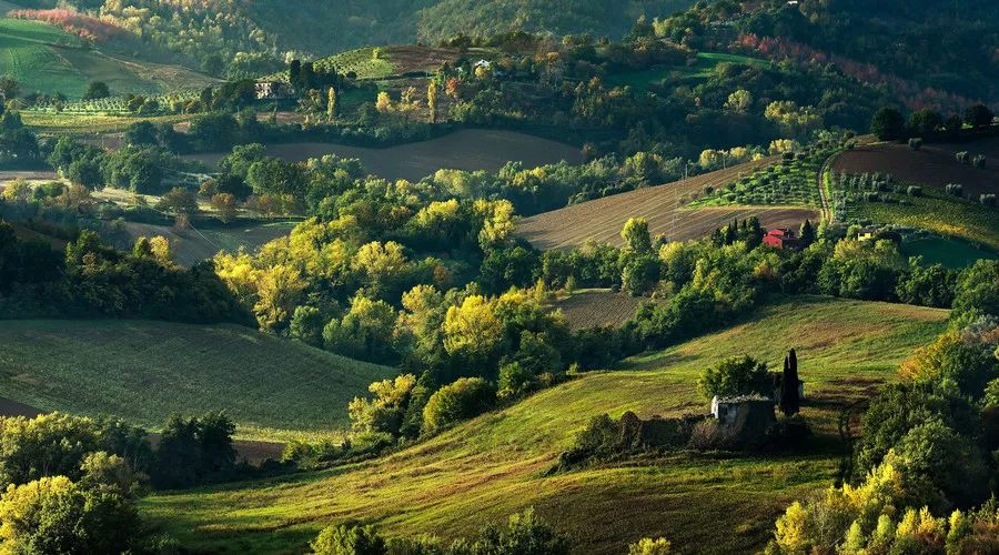 Rural landscape, so the design is grounded - iNEWS