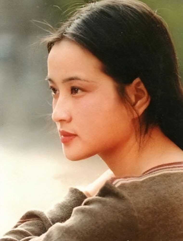 Liu Xiaoqing's life: Abandoned by her father before she was born, but ...