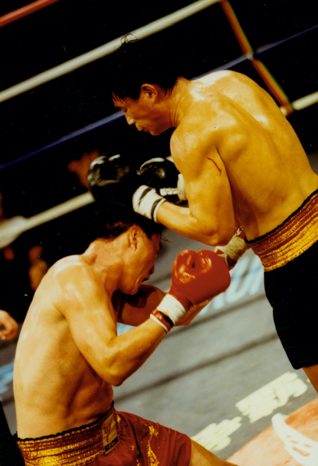 From all kinds of fighting techniques to Chinese martial arts, the cold ...