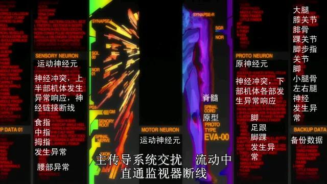 Detailed explanation of the body design of "Neon Genesis Evangelion ...