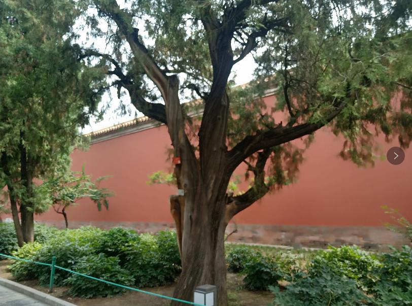 10 famous quotes from "Guanzi", incisive and thorough, every sentence ...