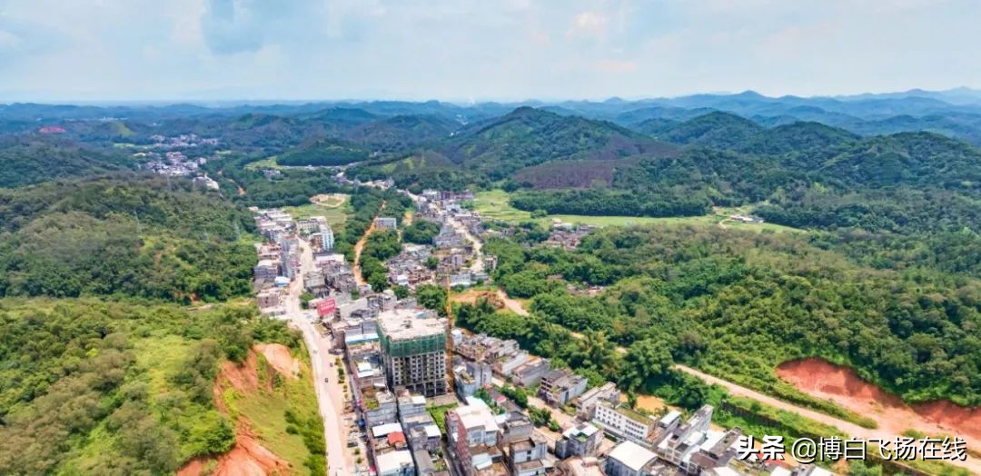 Bobai's group has a peerless "face" and is highly sought after by the ...