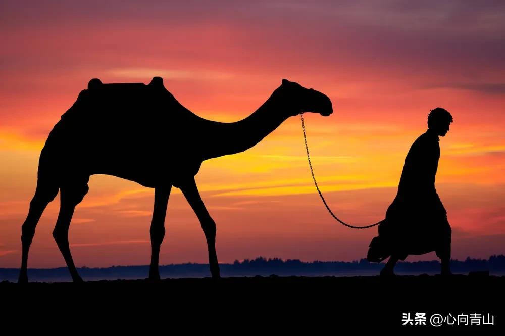 A 600-year Minimalist History of the Arab Empire—the most extensive ...