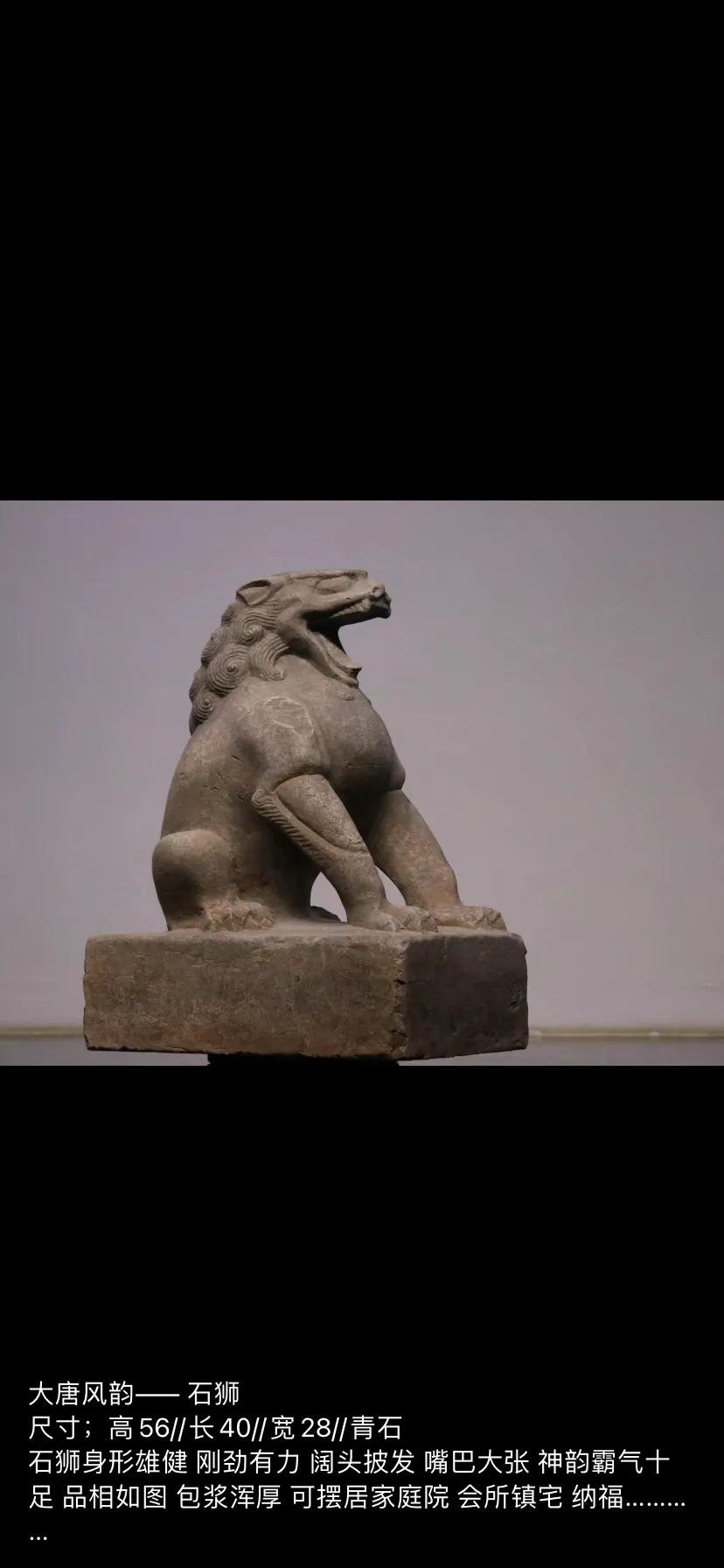 The charm of the Tang Dynasty - the stone lion - iNEWS