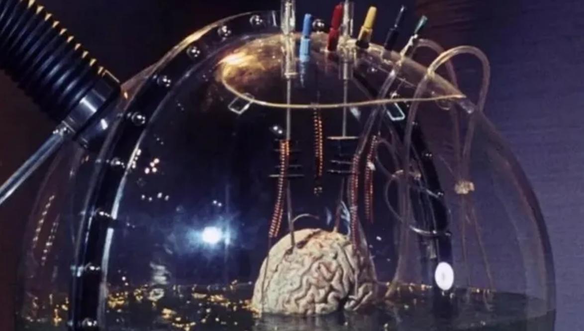 The association of "brain in a vat", is the world we live in real or ...