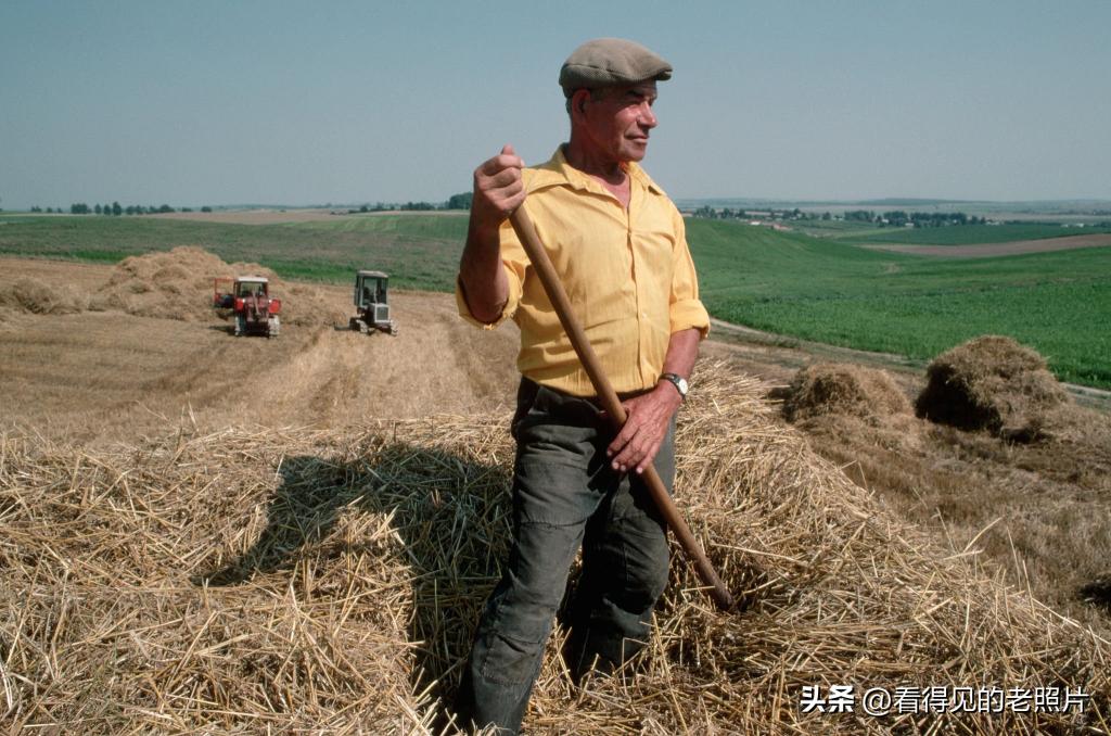 Old photo 1991 Ukrainian farmer working hard on a state farm in Ukraine ...