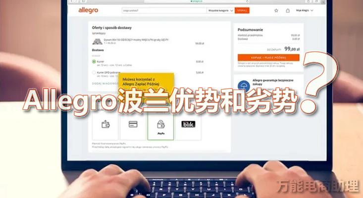 Allegro Poland advantages and disadvantages analysis, Allegro platform product image ...