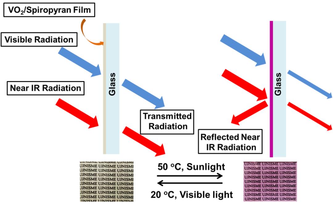 Jinan University has made a series of progress in the research of VO2 ...