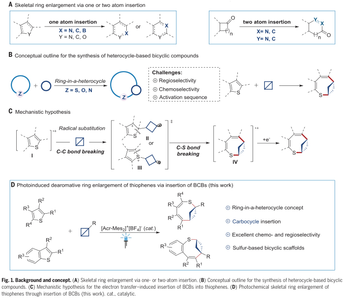Dearomatization Ring Expansion of Dibutane Insertion into Thiophene - iNEWS