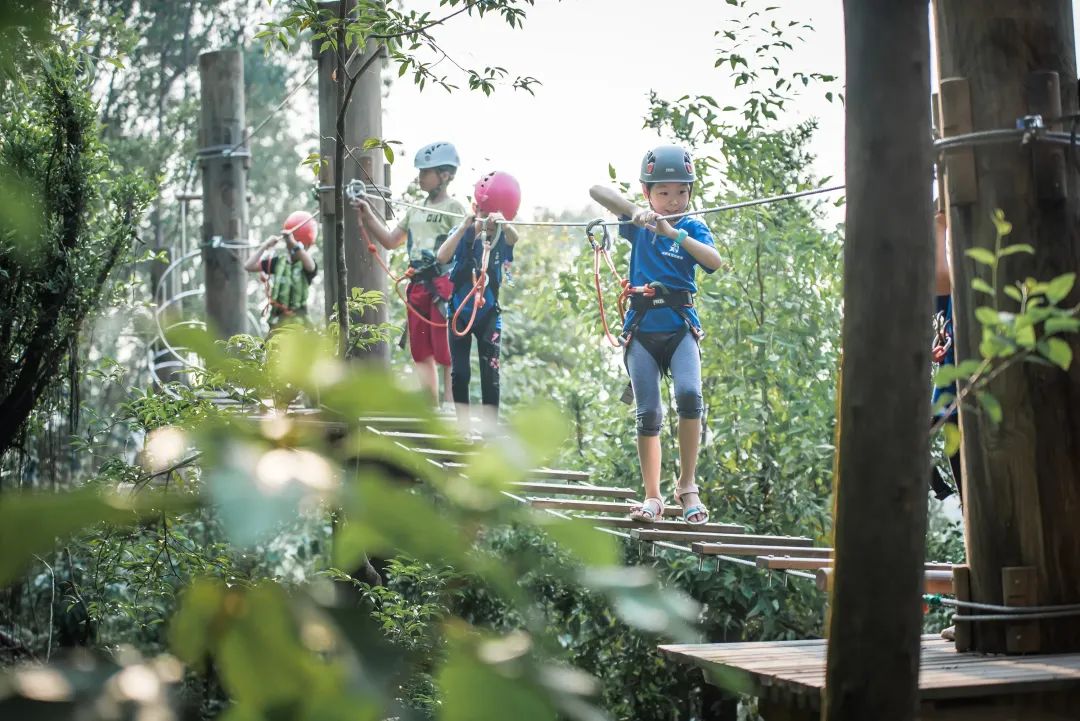 Is camp education the next outlet for study tours? - iNEWS
