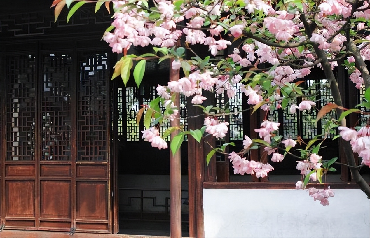 Spring is suitable for spring sleep, poems about spring sleep, sleep ...