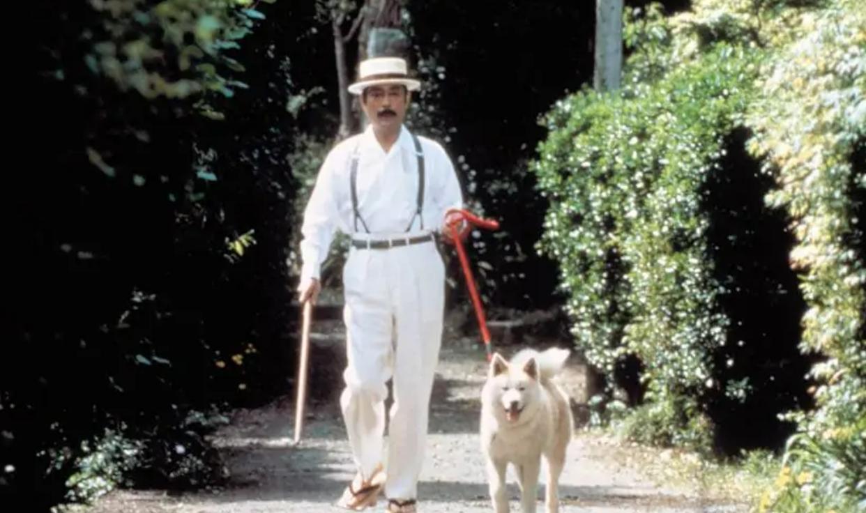 Who are the main actors in the movie "Hachiko"? - iMedia