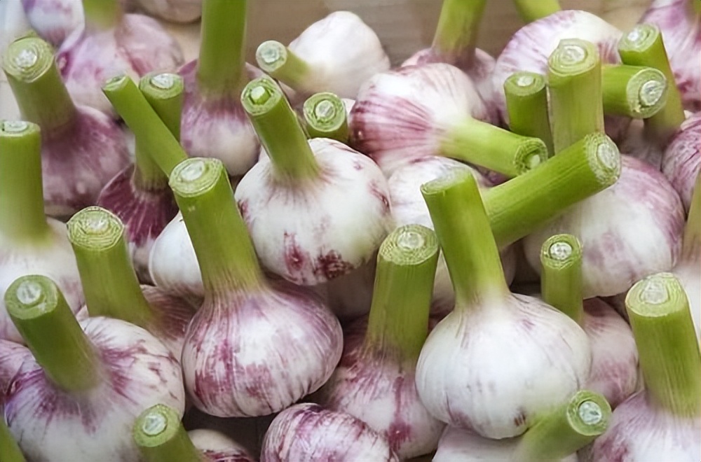 What do people who insist on eating "garlic" every day finally get?The ...
