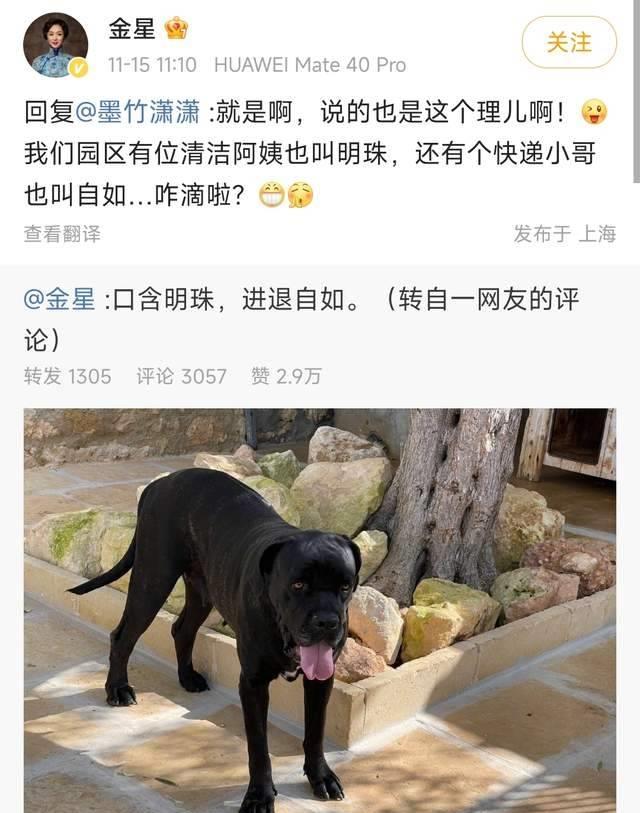 Jin Xing's shocking remarks angered Dong Mingzhu and Wang Ziru? ! What ...