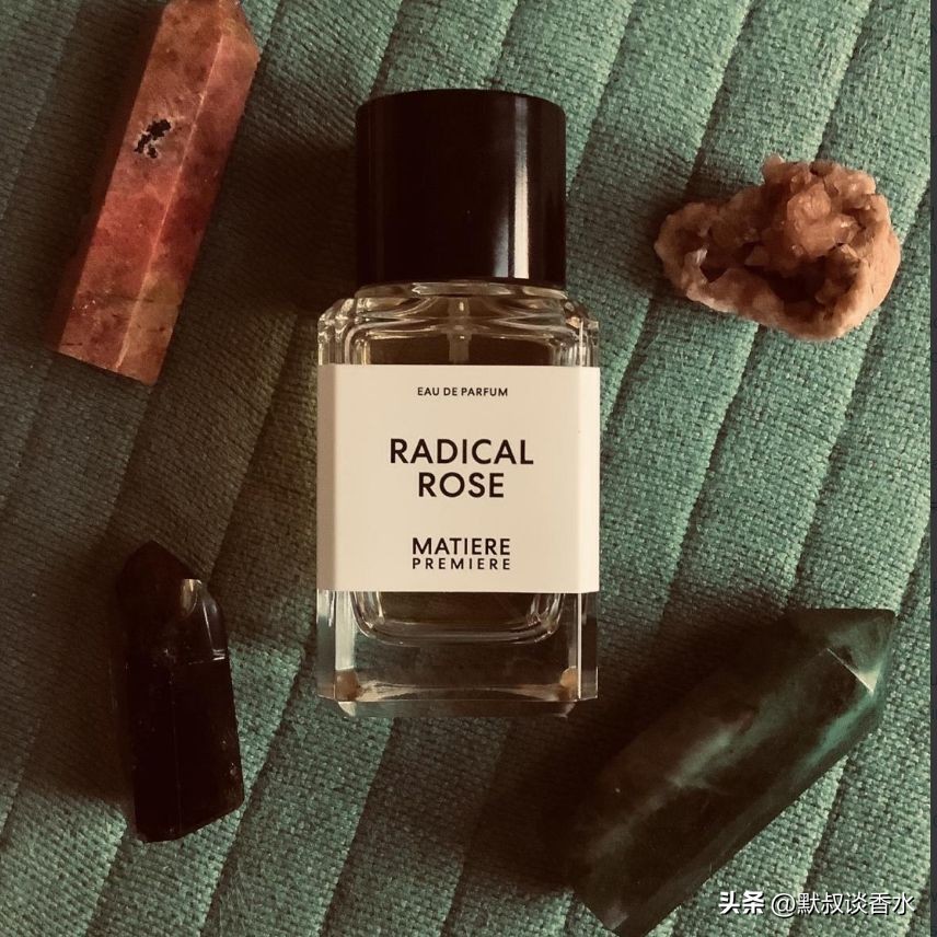 Patchouli rose with a sense of balance and temperament - iNEWS