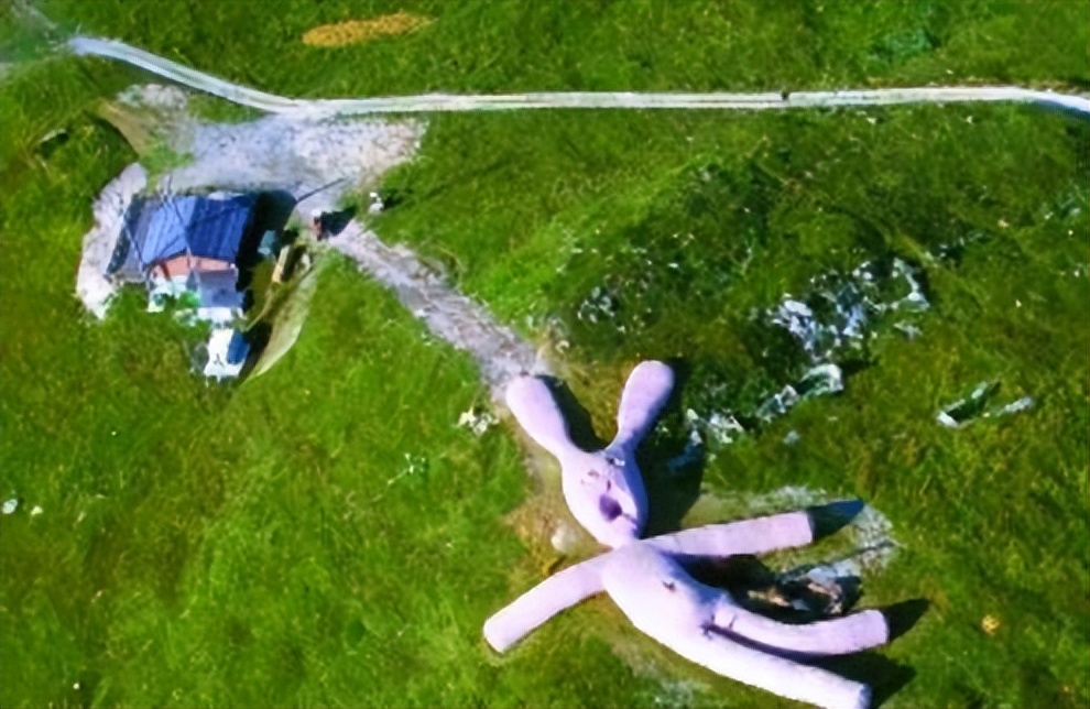 The world's largest "rabbit", which can be detected on satellite maps ...