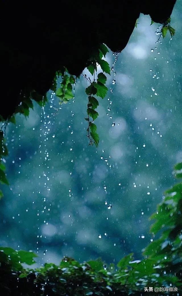 night rain qin sound dyed dream - iMedia