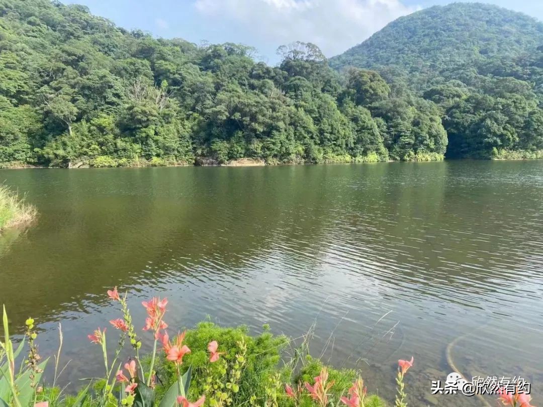 Cheng Juntao || Yaowan Chengmen - iNEWS