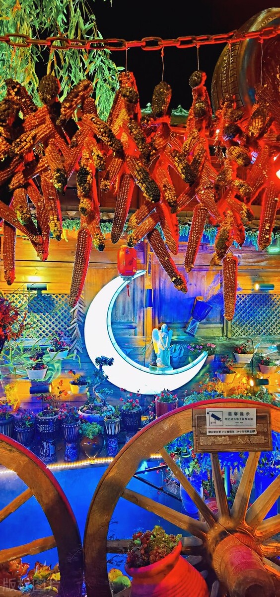 Kuomintang General Wang Lingyun Walked Out of Western Henan - iNEWS