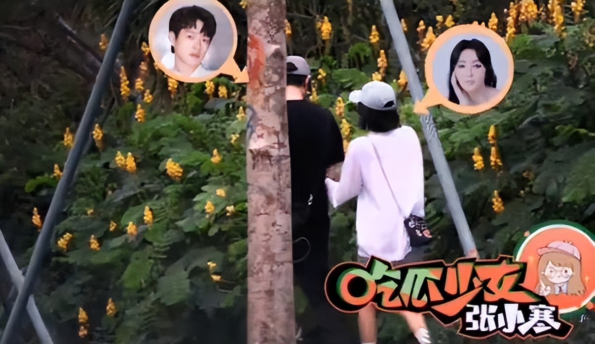 Qin Lan and Wei Daxun confirm their relationship: the two have changed their couple portraits ...