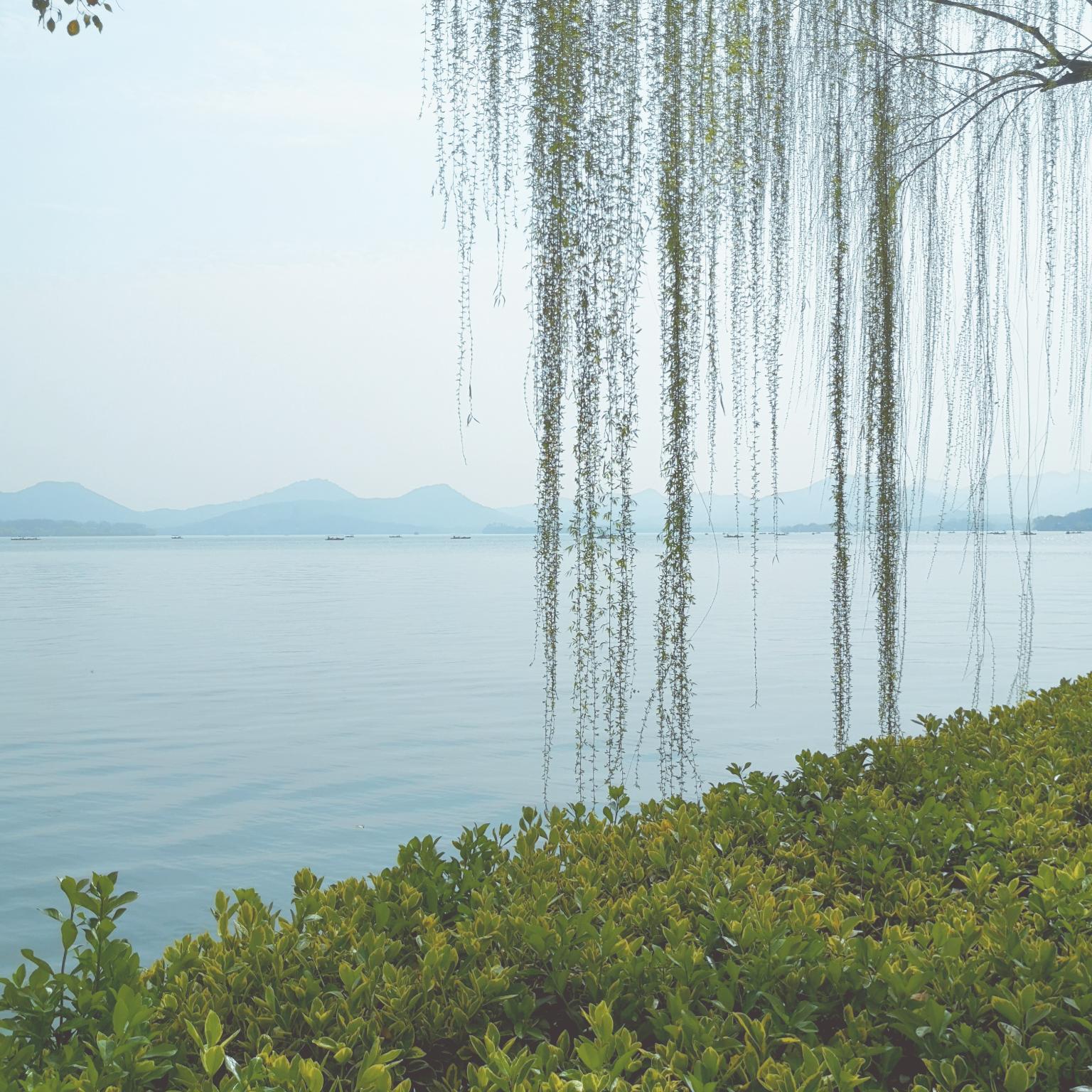 Tour the south of the Yangtze River in June, lotus flowers, three ...