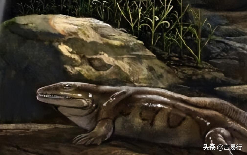 The first amphibian on Earth, the ichthyosaur, could breathe oxygen ...