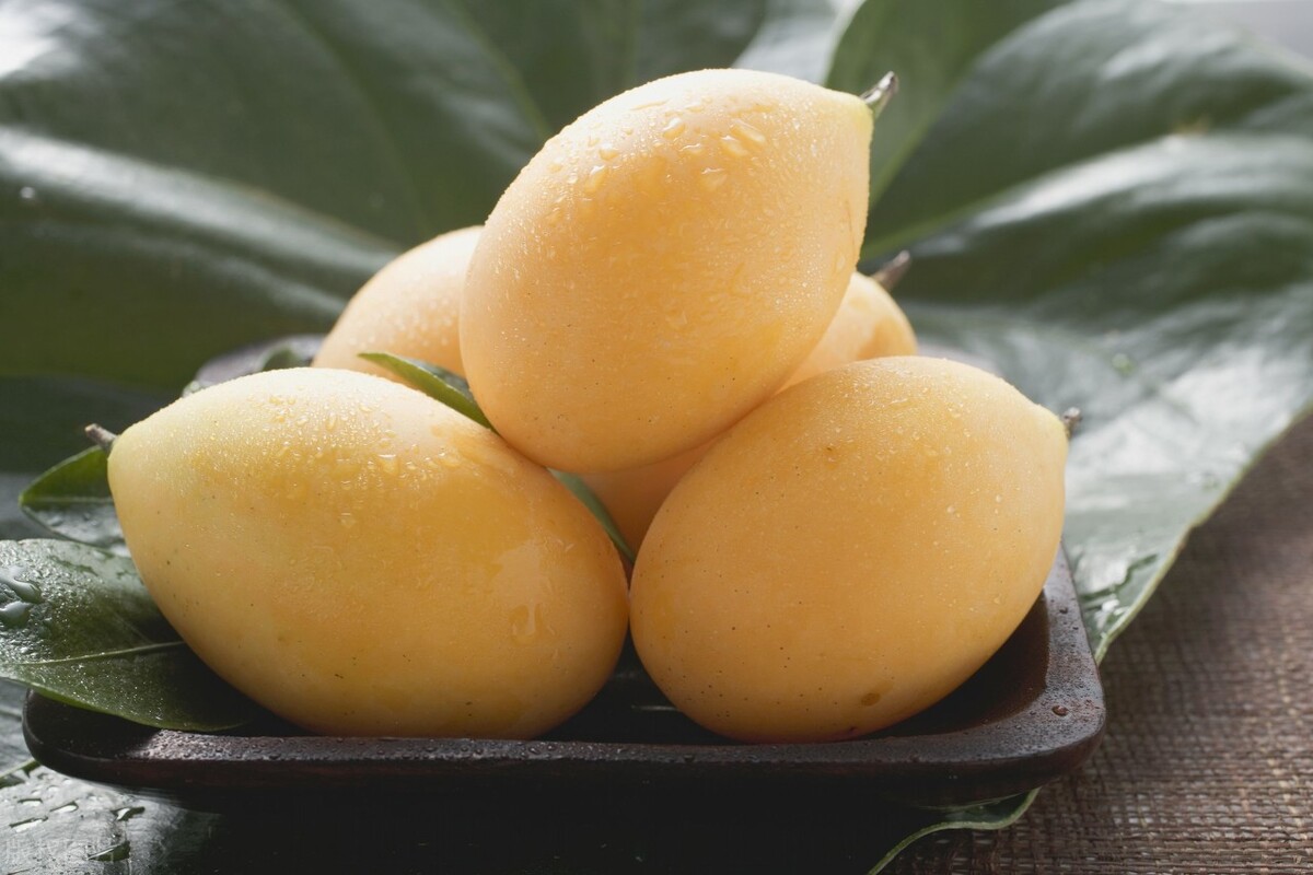 Eat loquat scientifically - iNEWS