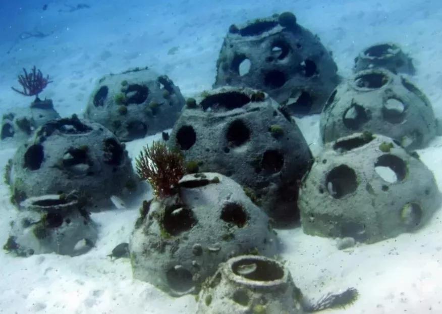 Love the sea, dance with fish, can you accept ashes mixed in concrete ...