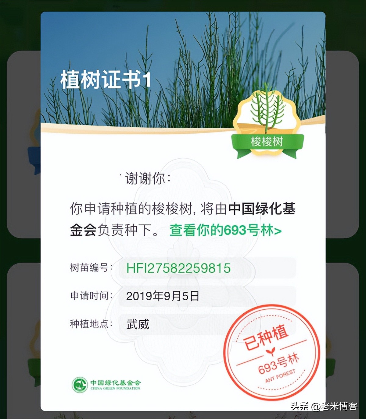 What is the use of Alipay Ant Forest Energy? - iNEWS